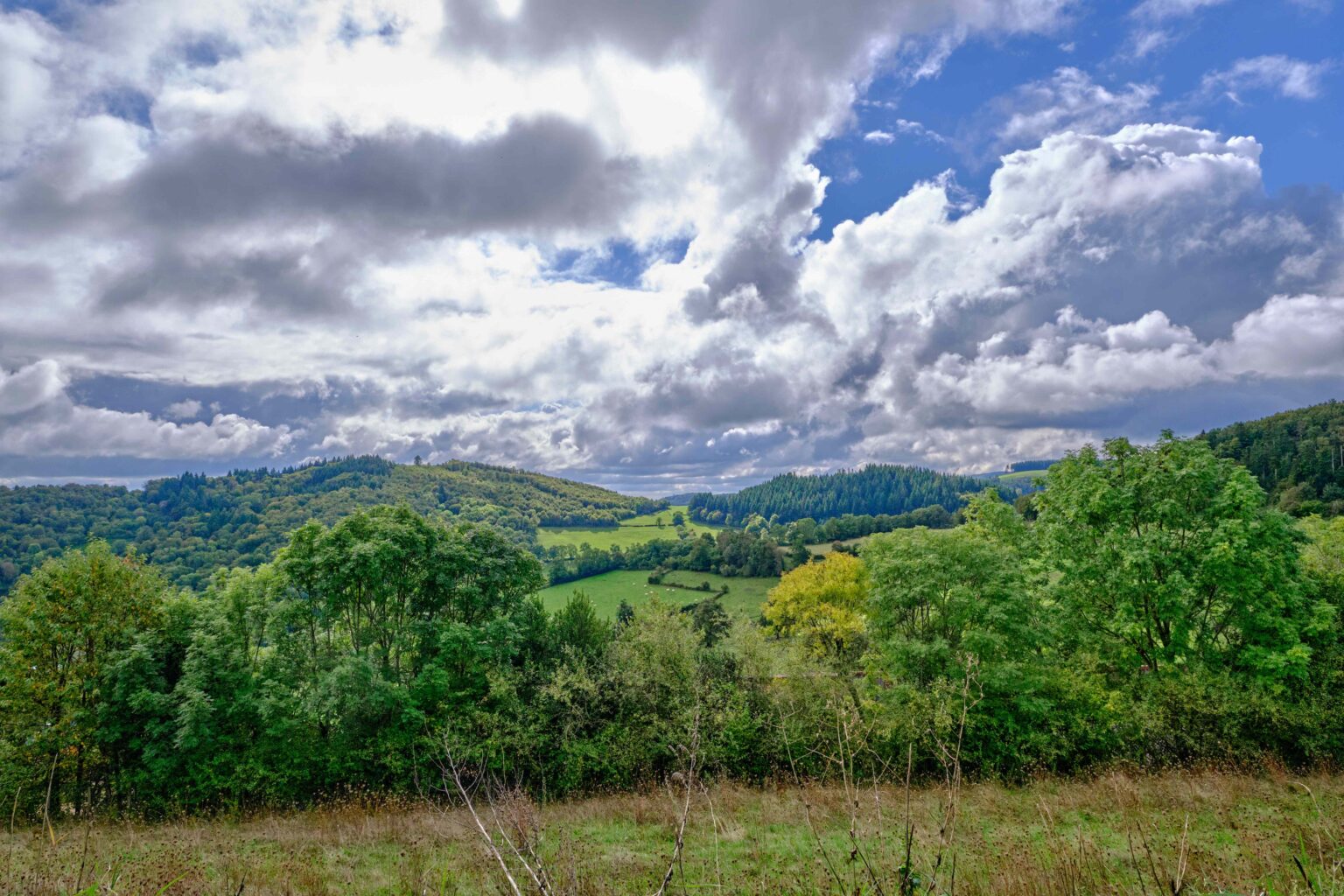 Les Sentiers de Grande Randonnée GR® - Rhône